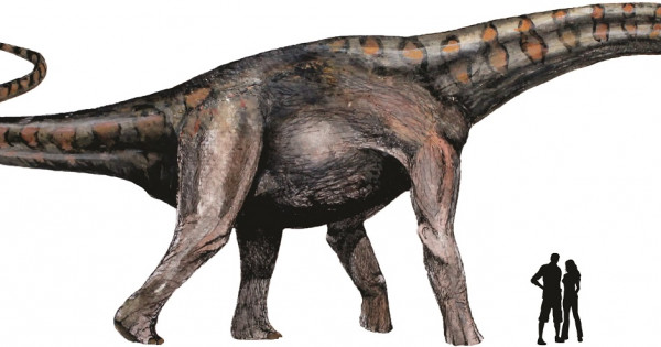 Un nuevo linaje de dinosaurios gigantes: los colossosaurios - FCEN ...