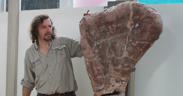 El Laboratorio de Dinosaurios de la FCEN anuncia el descubrimiento del ...
