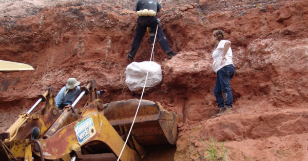 Director Del Laboratorio De Dinosaurios Participó Como Investigador